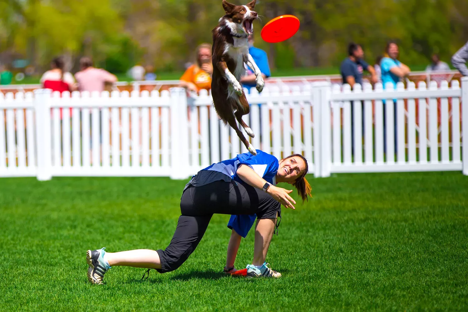 PHOTOS: Denver Dumb Friends League Hosts 25th Furry Scurry | Westword