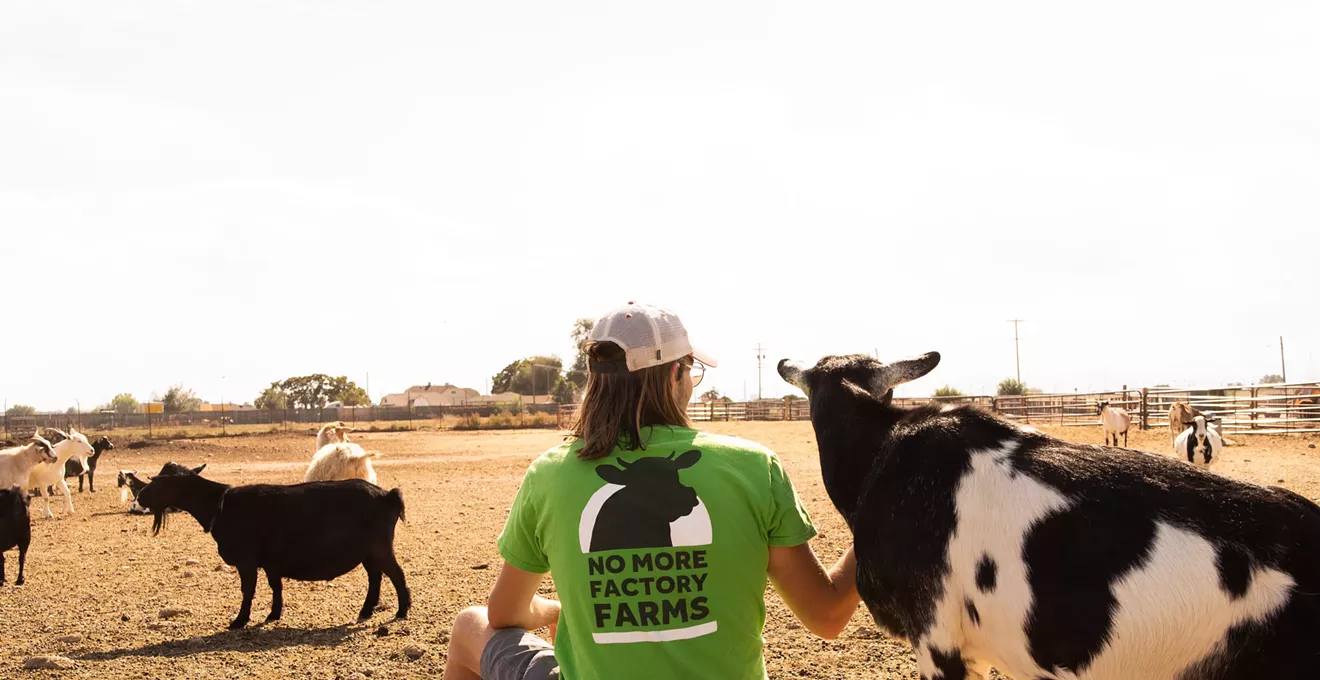 Animal Rights Ballot Measures Lose Big in Colorado | Westword