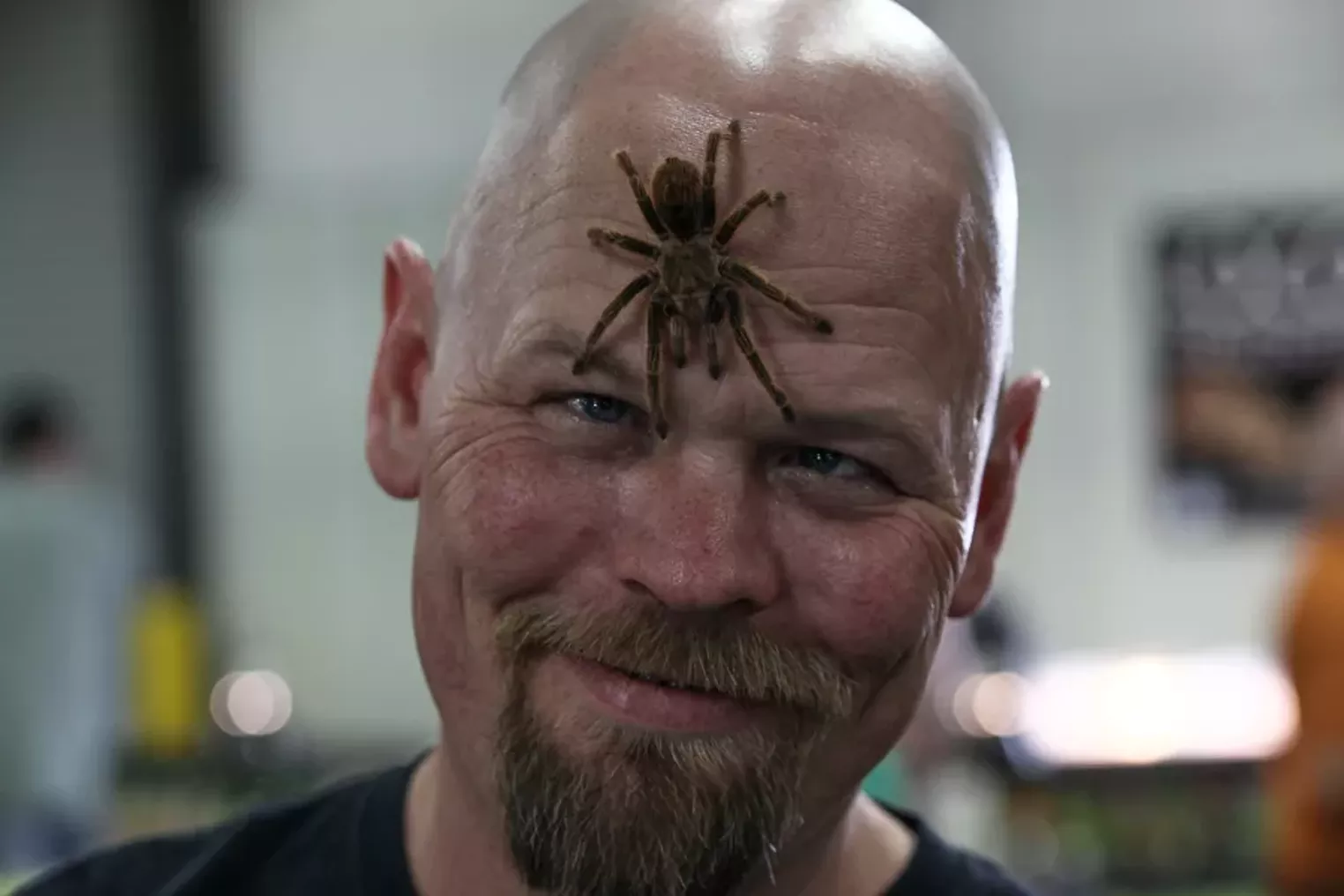 Denver Repticon 2014 | Denver | Denver Westword | The Leading ...