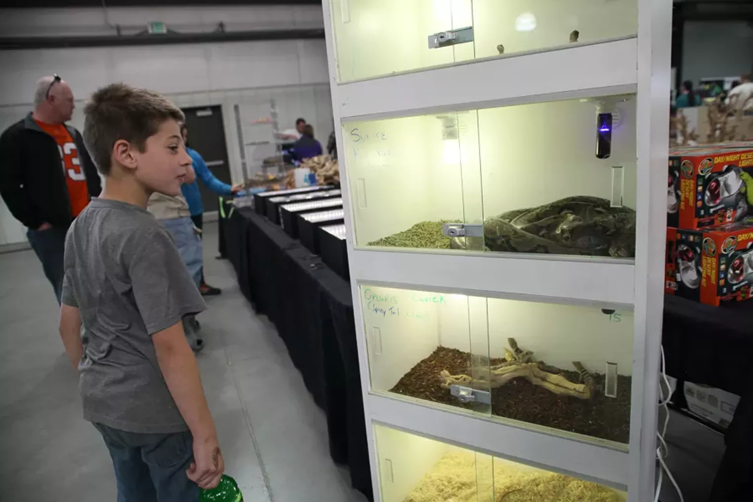 Denver Repticon 2014 | Denver | Denver Westword | The Leading ...