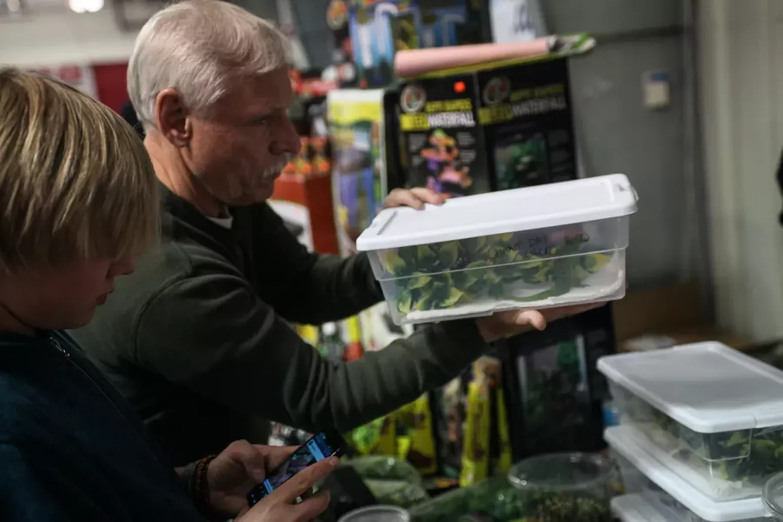 Denver Repticon 2014 | Denver | Denver Westword | The Leading ...