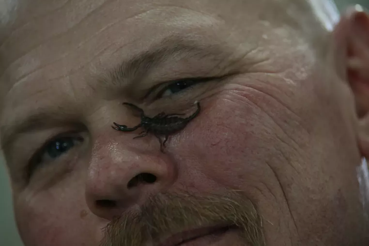 Denver Repticon 2014 | Denver | Denver Westword | The Leading ...