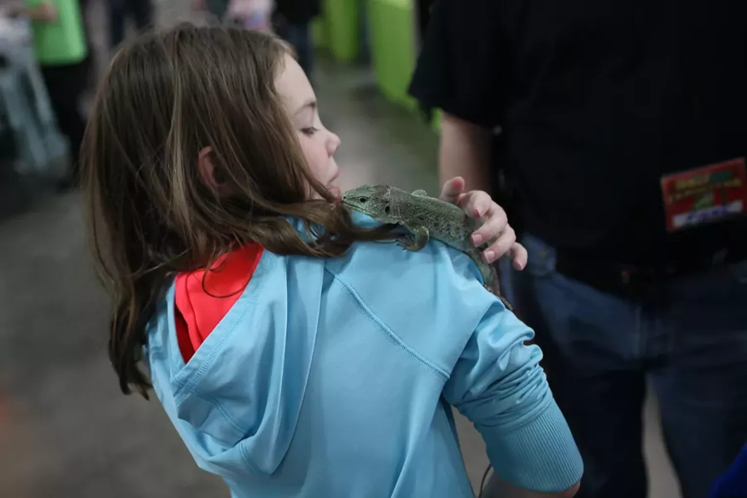 Denver Repticon 2014 | Denver | Denver Westword | The Leading ...