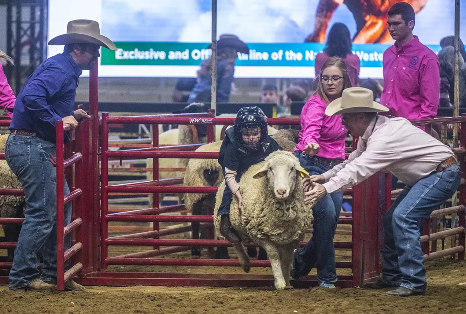 Mutton Bustin' at National Western Stock Show | Westword