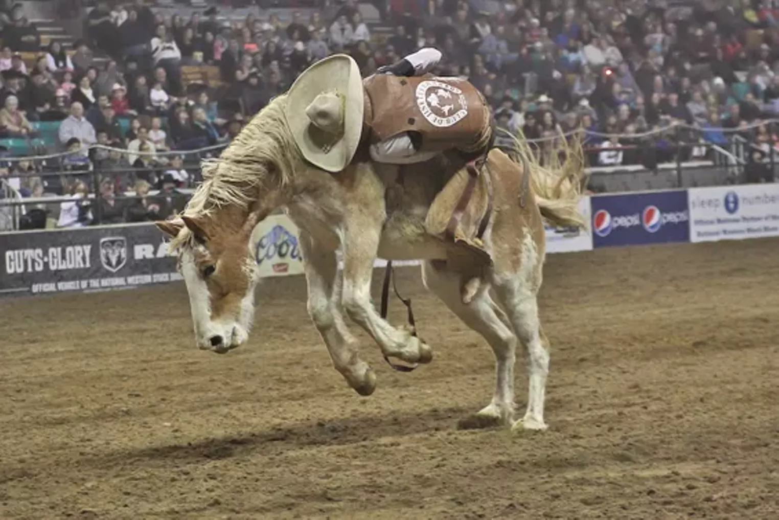 Mexican Rodeo Extravaganza 2013 | Denver | Denver Westword | The ...