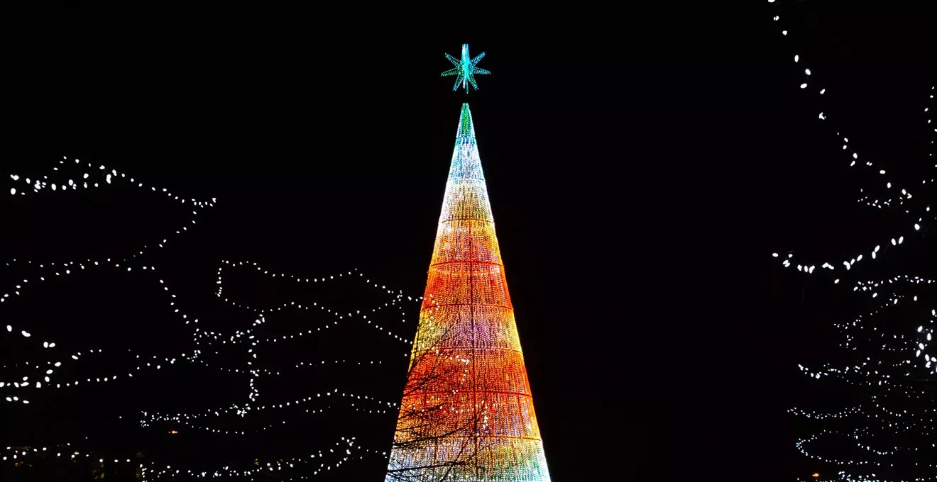 Mile High Tree Spotlights Colorado Music in January 2020 | Westword