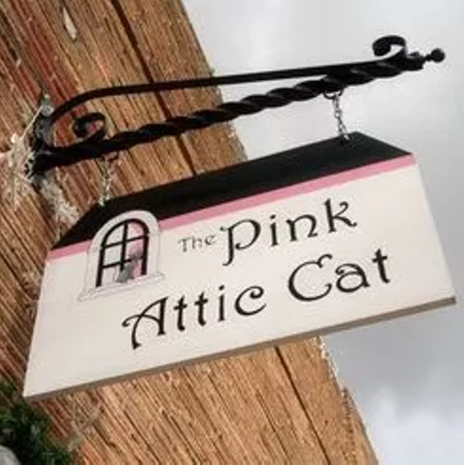 Pink Attic Cat | Southwest Denver Suburbs | Retail | General