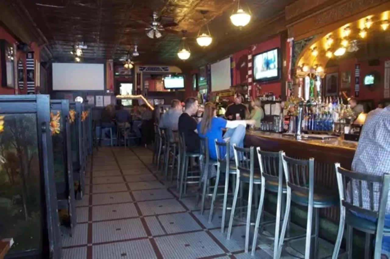 The British Bulldog | Downtown Denver | English, Indian, Bars and Clubs ...