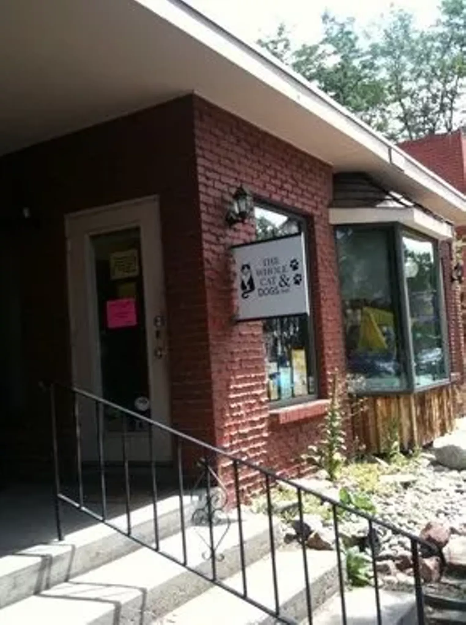 Best Place to Learn to Talk to the Animals 2005 | The Whole Cat | Best ...