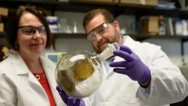 Kratom and Christopher McCurdy, Who May Determine Its Future | Westword