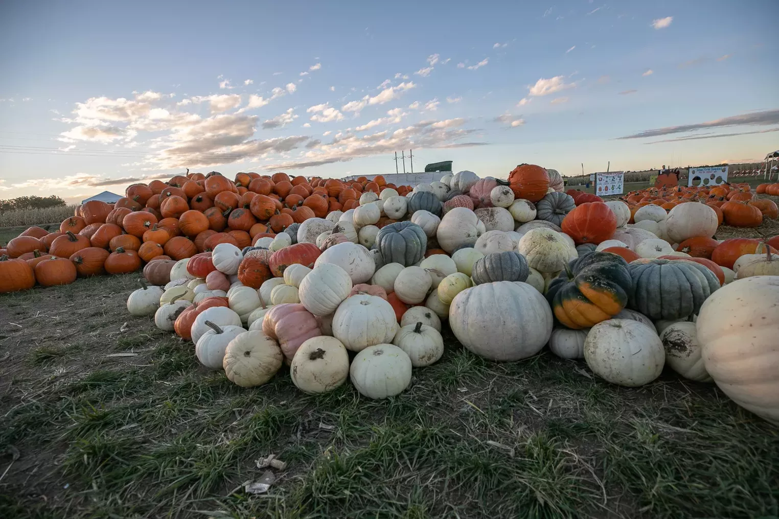 Photos: Haunted Field of Screams Is Frightfully Fun | Westword