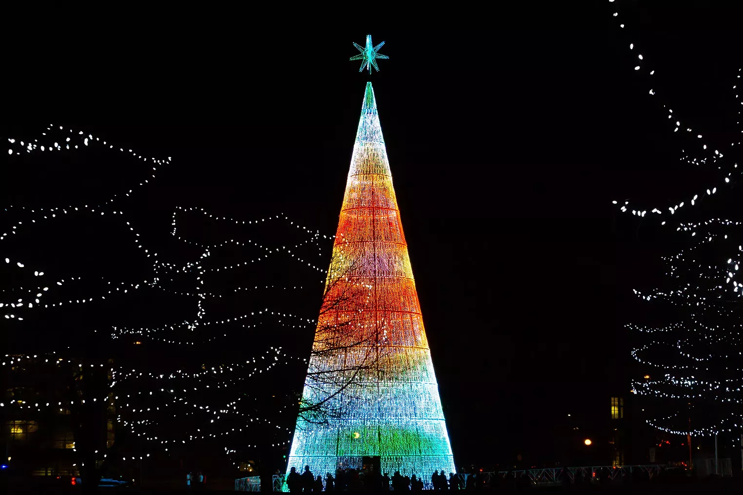 Mile High Tree Spotlights Colorado Music in January 2020 | Westword