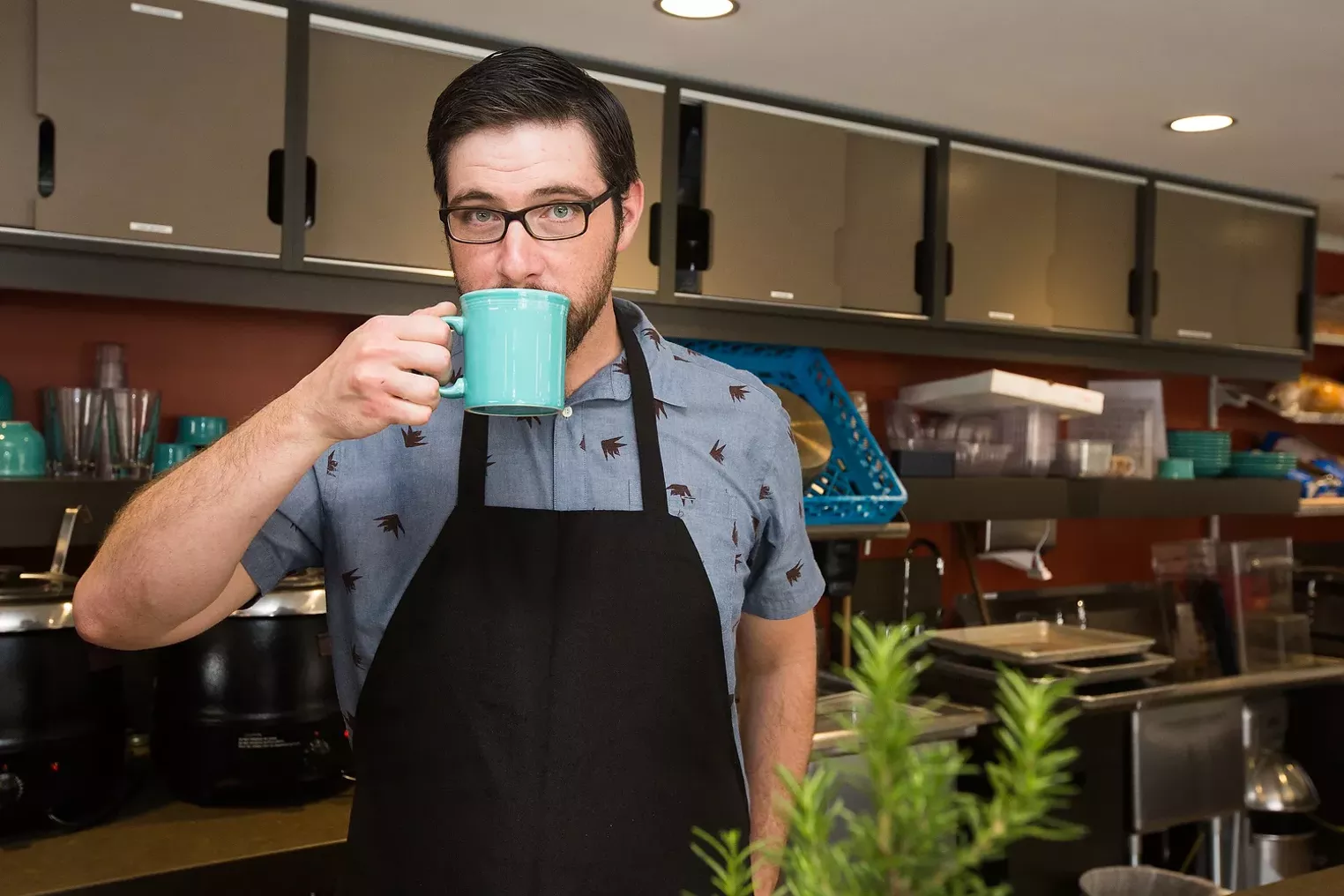 Matt Collier Branches Out at Seeds Library Cafe | Denver | Denver ...